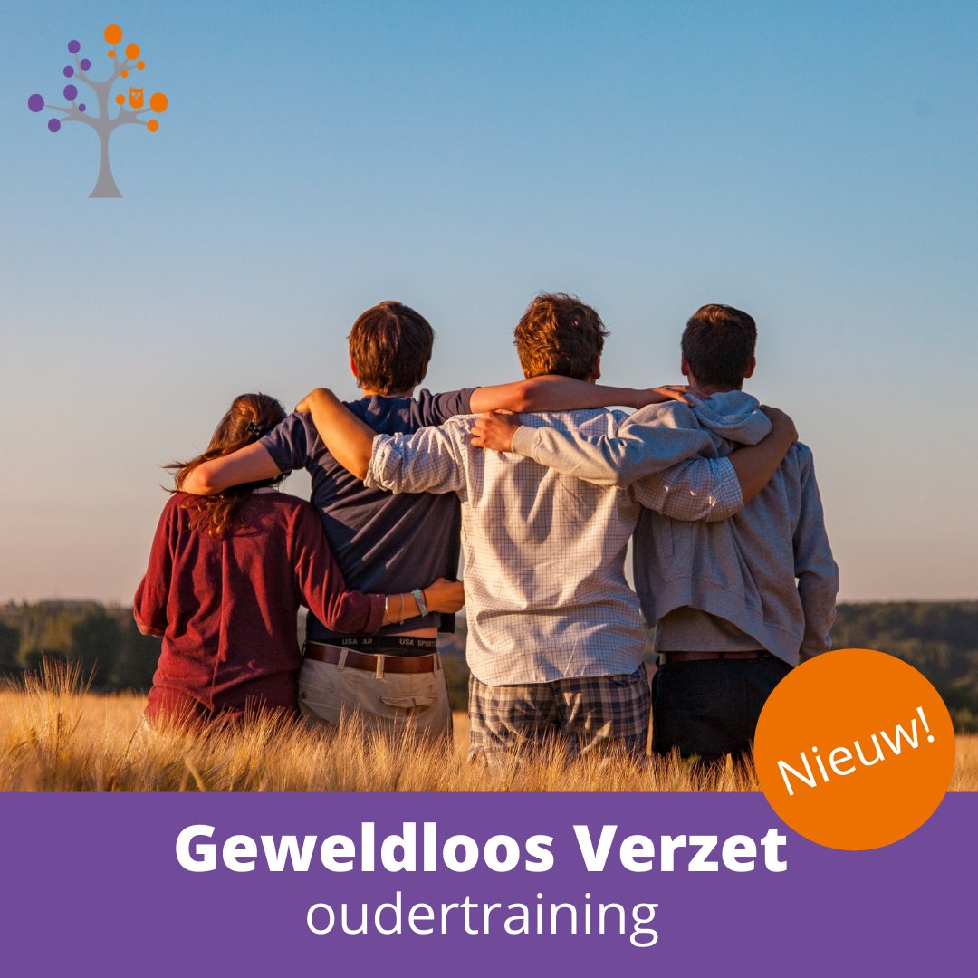 Geweldloos verzet - Praktijk Schoone